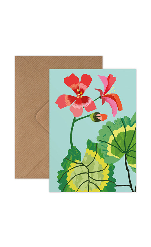 Collections – Brie Harrison Ltd
