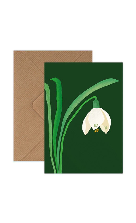 Collections – Brie Harrison Ltd