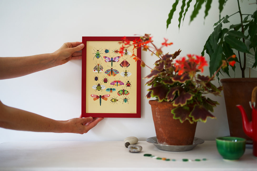 Frames – Brie Harrison Ltd