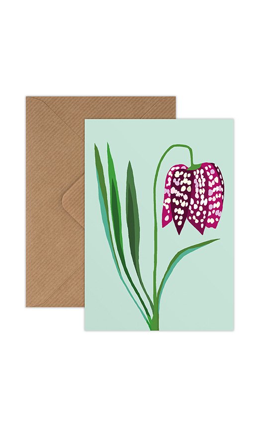 Collections – Brie Harrison Ltd